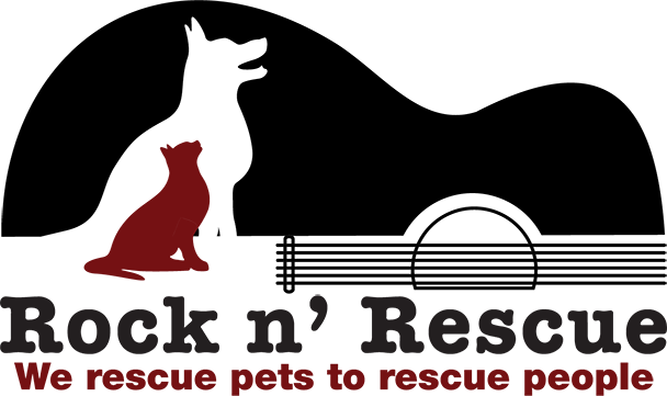 About – Rock N Rescue – Pet Adoption Rescue Service